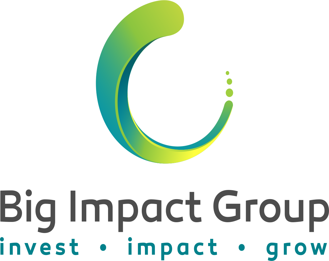 Big Impact Group – invest | impact | grow